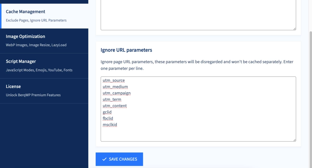 Ignore URL Parameters - BerqWP