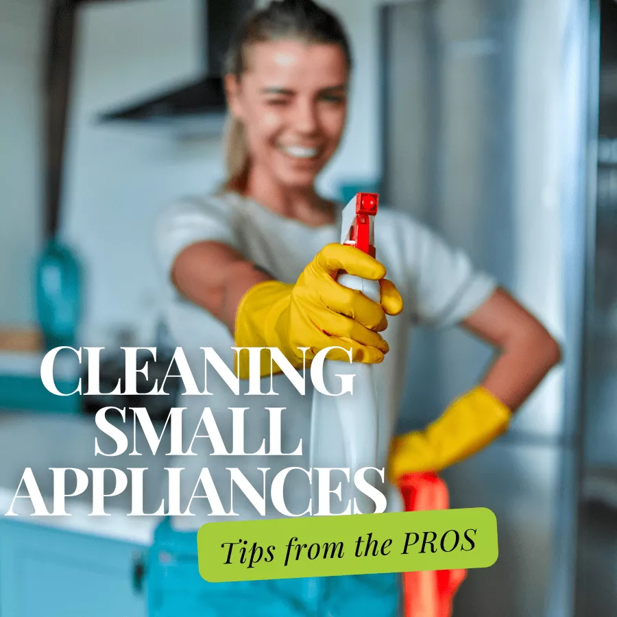 Small Appliance Cleaning Made Simple