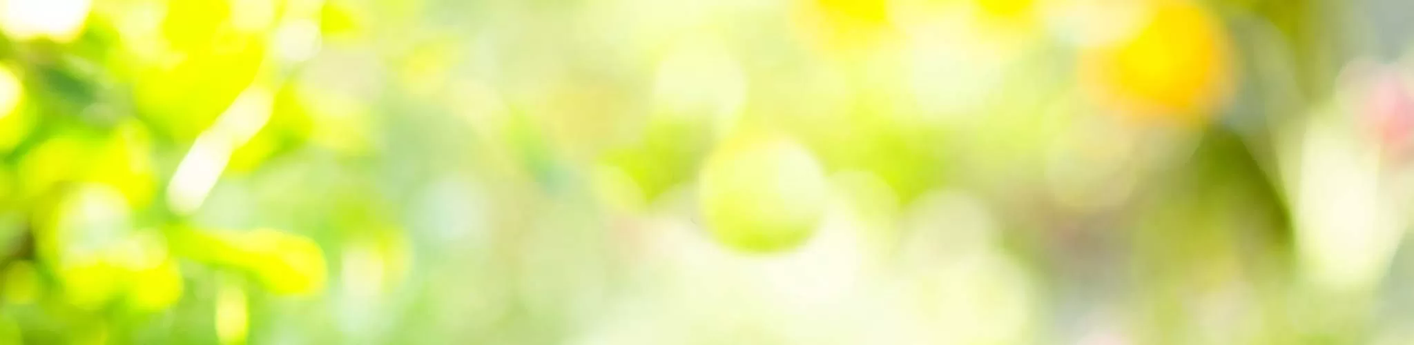 About Our Therapist | Brian Murdock Counseling