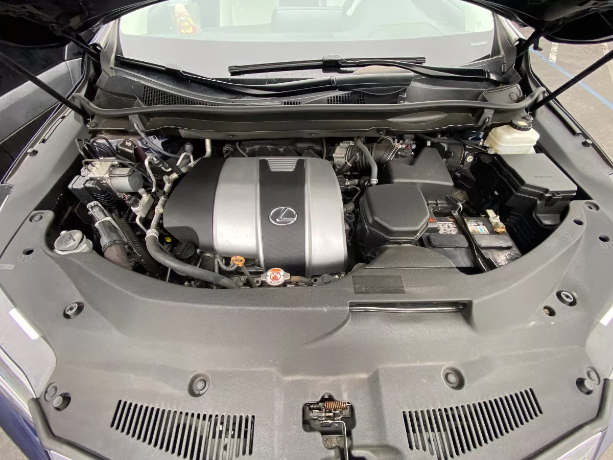 Why is my Lexus making a whining noise? | Brock Automotive Import Service