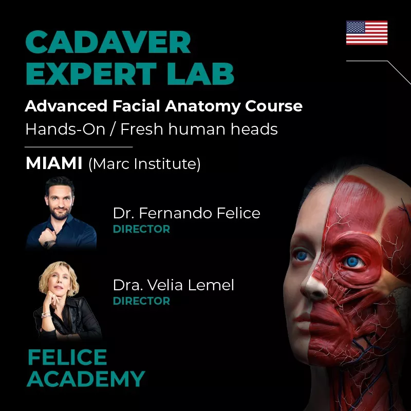 Cadaver Expert Lab (Miami) 2.0 - Felice Academy
