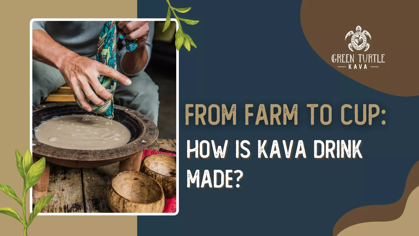 Farm to Cup: How Is Kava Drink Made? | Green Turtle Kava Bar