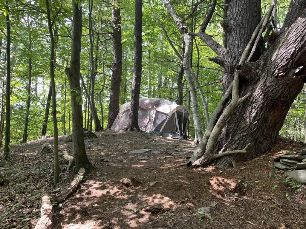 --Open House Potluck & Consent-- - Human Connection Arts