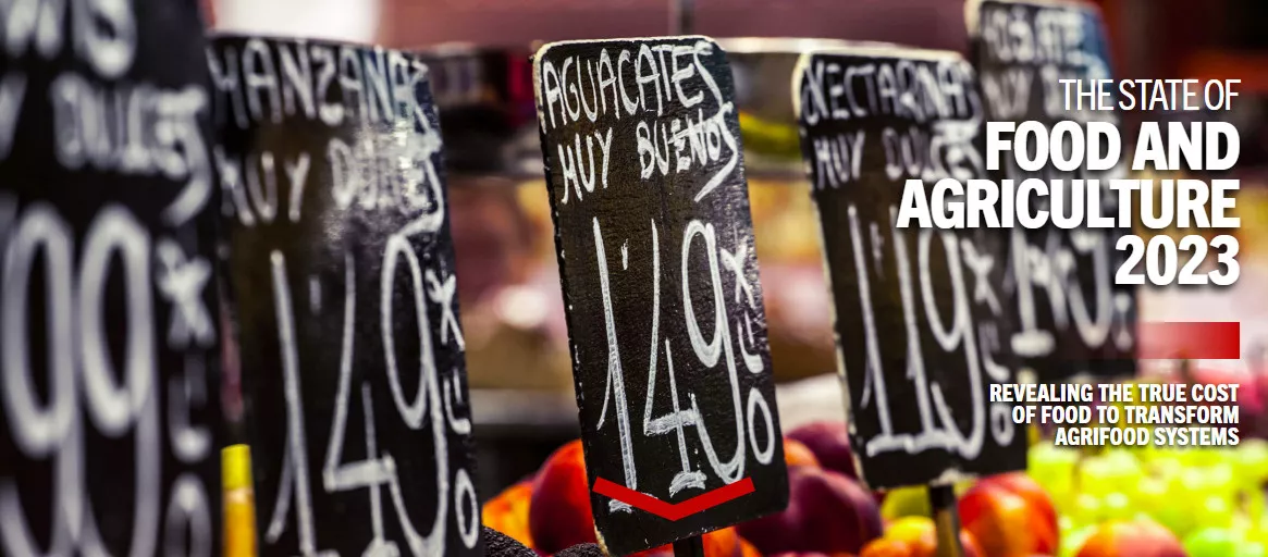 FAO Report: The State of Food and Agriculture 2023