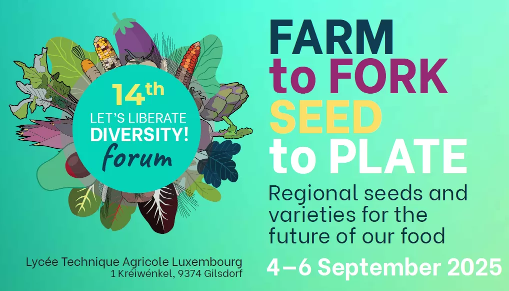 Let’s Liberate Diversity! Forum 2025 – Registration Now Open | European Coordination Let's ...
