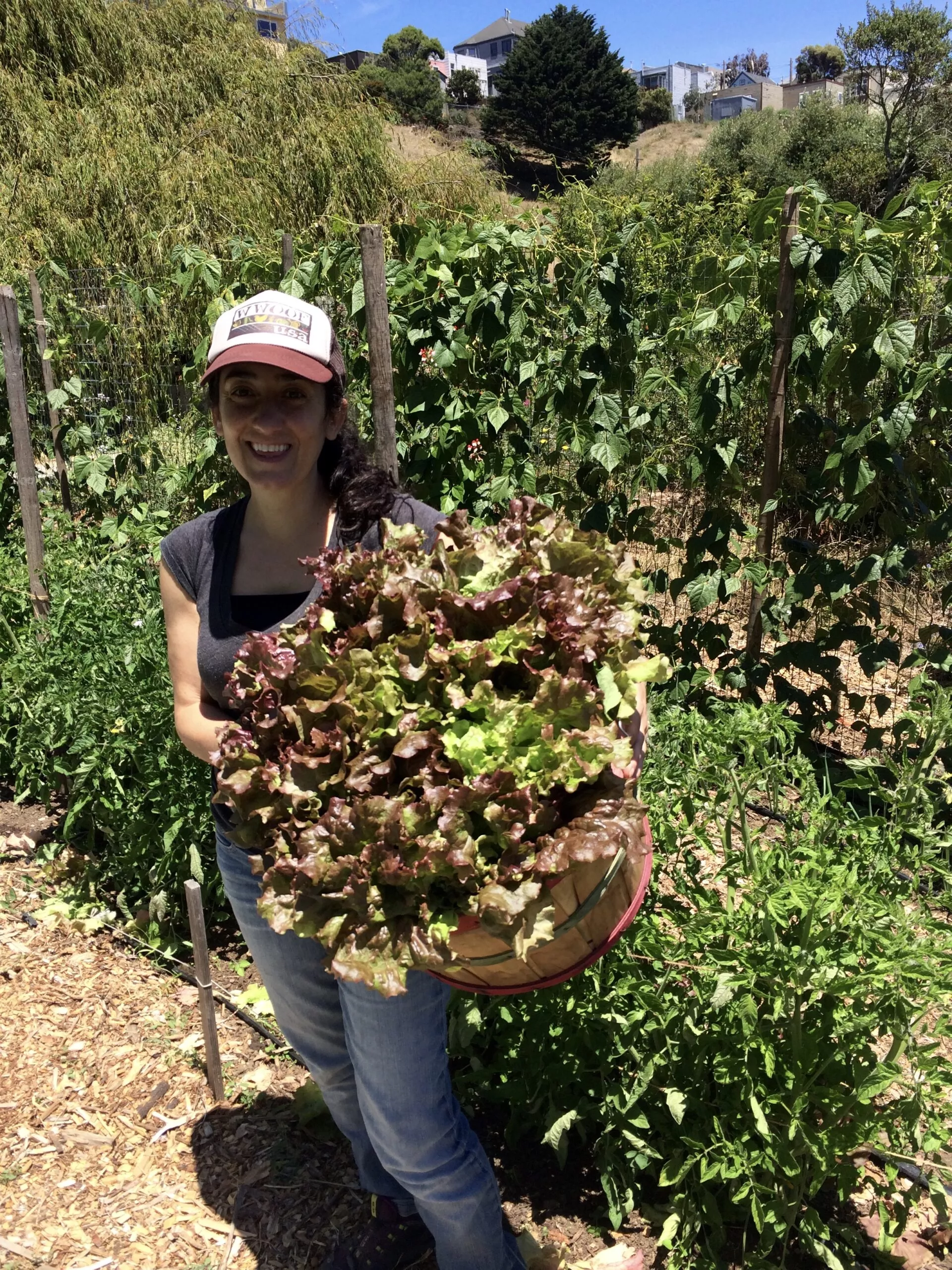 WWOOFCast - Episode 15 | WWOOF Italia