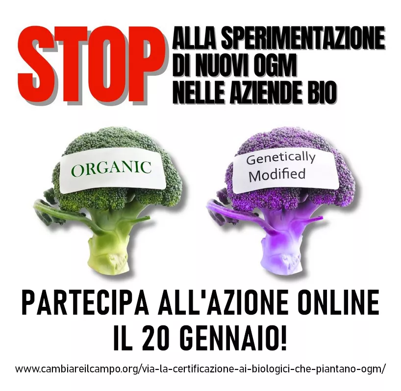 Fermiamo i nuovi OGM! a rischio anche le aziende bio! | WWOOF Italia
