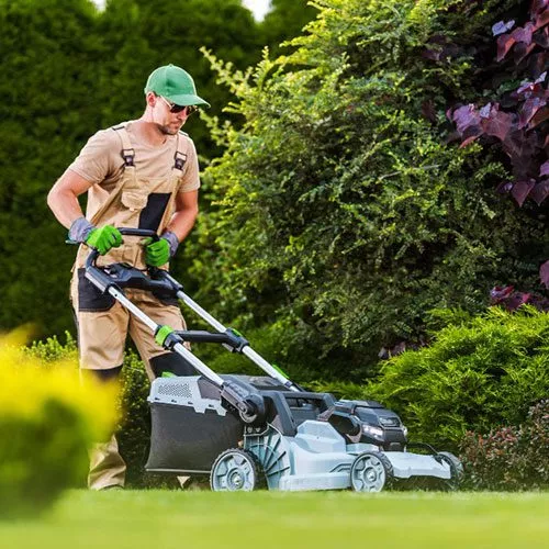 Best Residential Landscape Management Services in Rockland