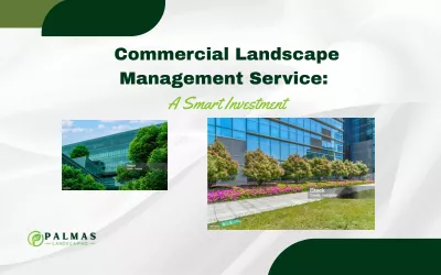 Why Choose a Commercial Landscape Management Service