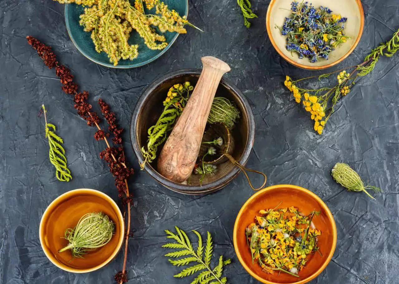 Sustainable Extraction Methods: The Future of Eco-Friendly Herbal Products