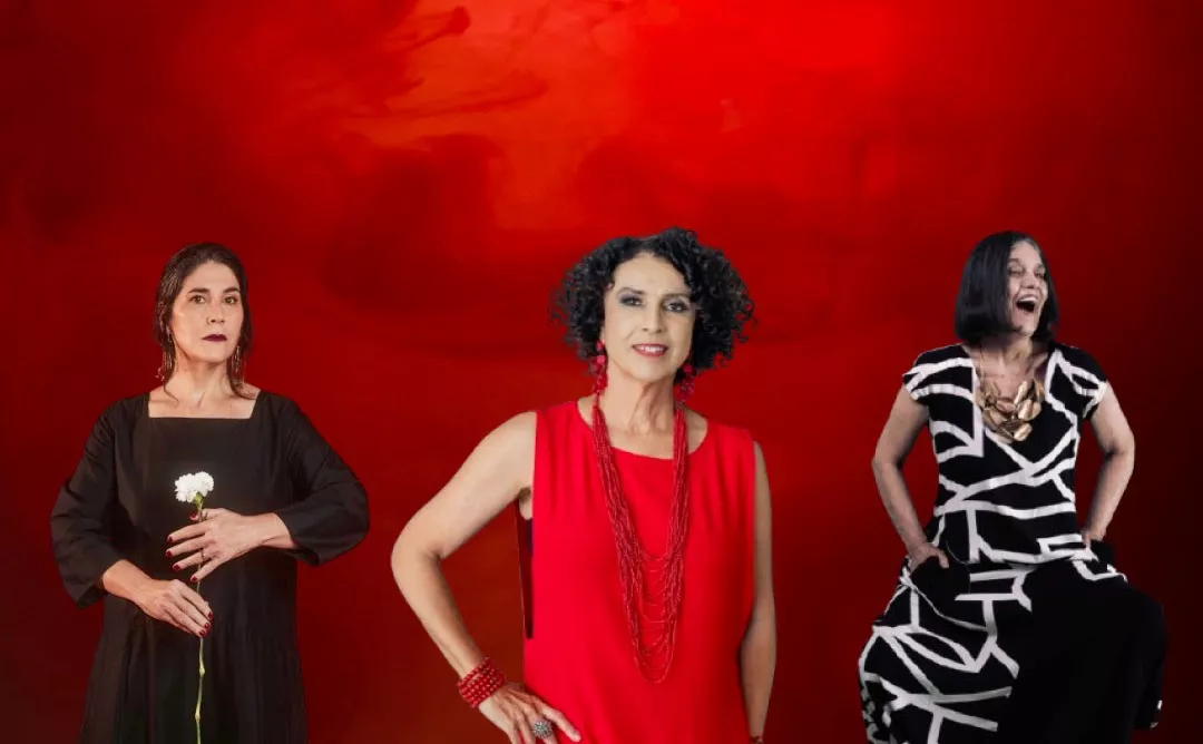 MÔNICA SALMASO, JOYCE MORENO E PAULA MORELENBAUM HOMENAGEIAM CARLOS ...