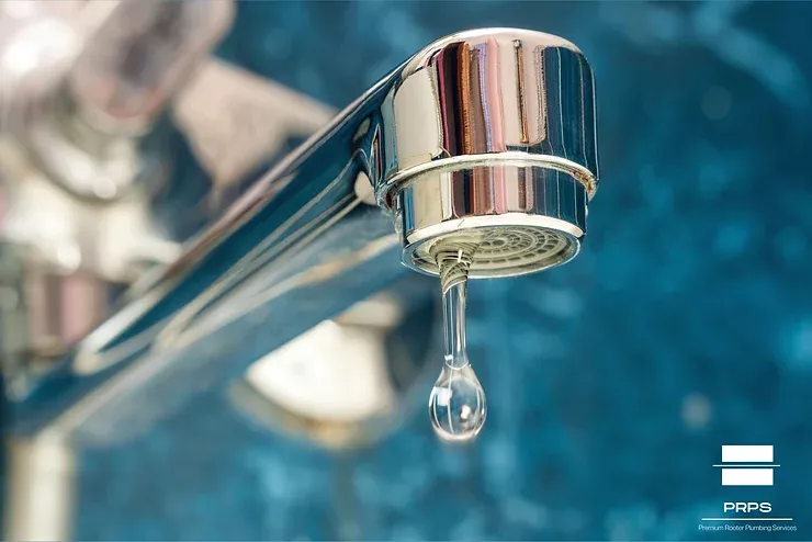 Stop the Drip: A Step-by-Step Guide to Fixing Your Leaky Faucet - Premium Rooter Plumbing