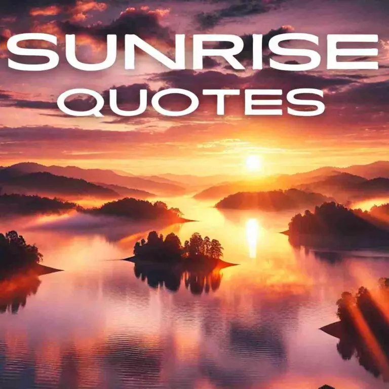30 Best Sunrise Quotes to Light Up Your Mind & Morning