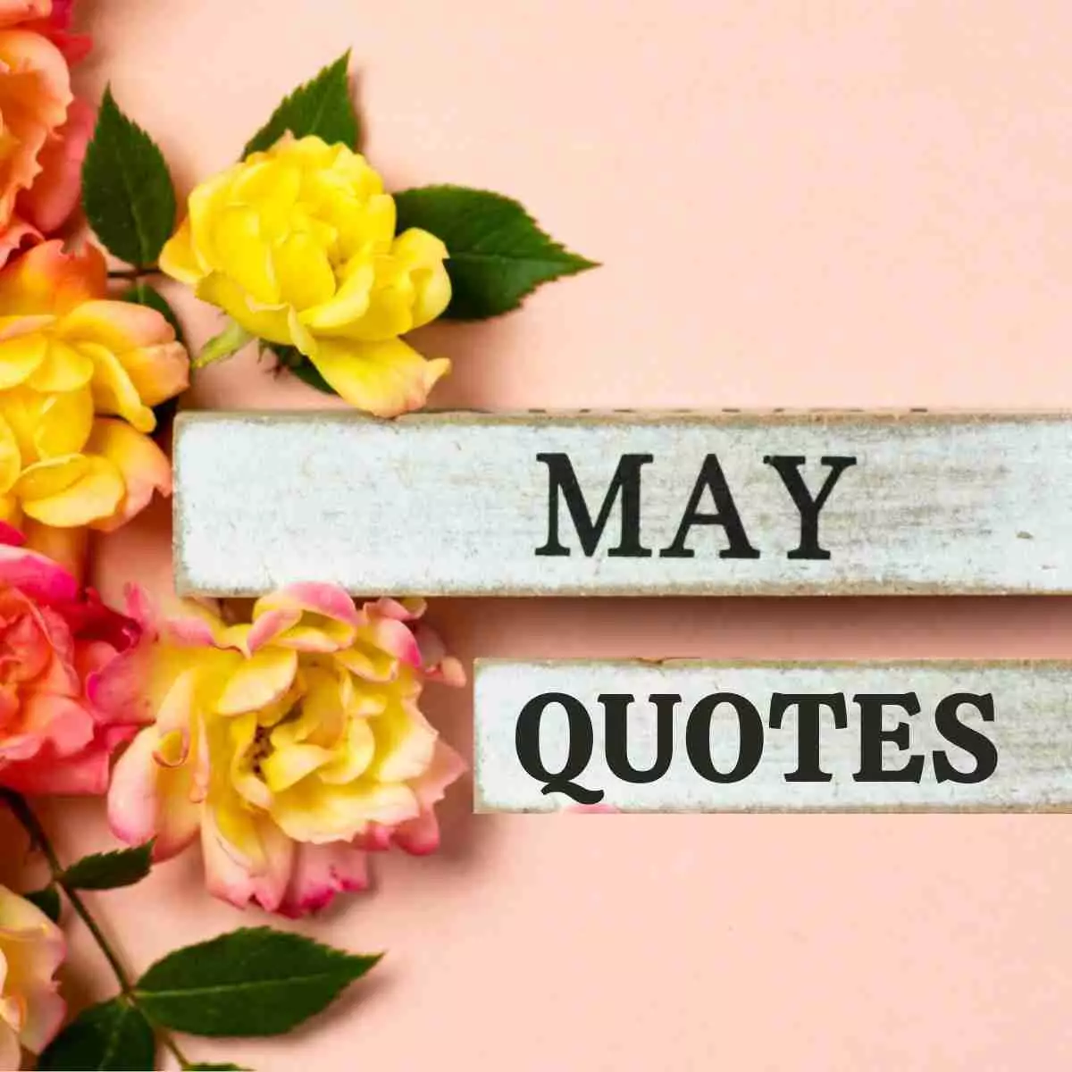 May Quotes: A Fresh Start for Mind, Body, and Soul