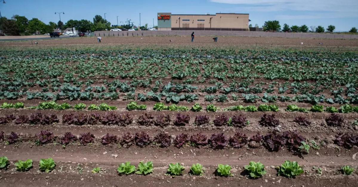 Eminent domain, used often to seize land from private owners, has ...
