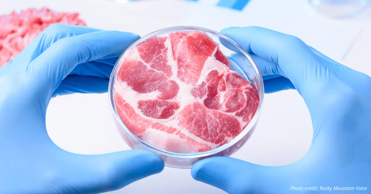 Eastern Plains lawmakers want to prohibit 'cultivated' meat in Colorado ...