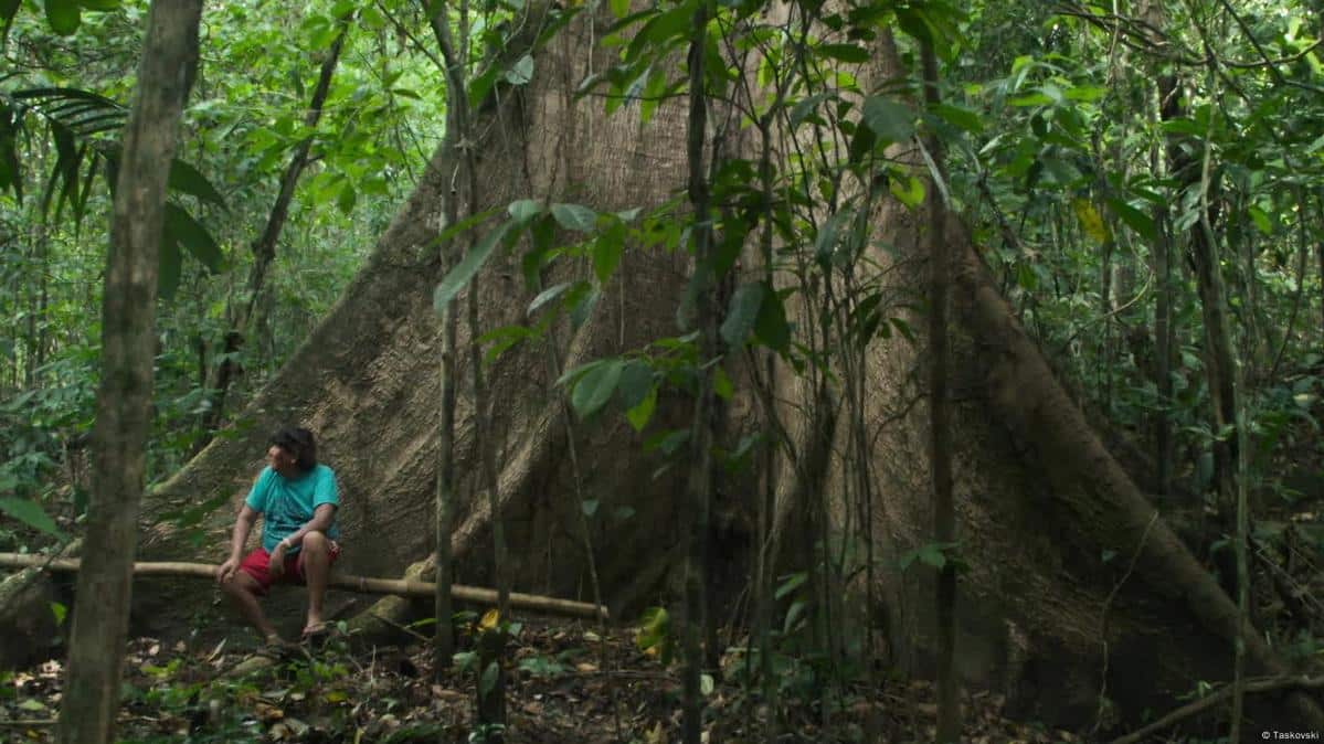 The Power of Song in Australia: Unveiling Indigenous Constellations