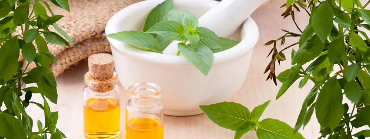 A Complete Guide to Essential Oil Extraction Techniques