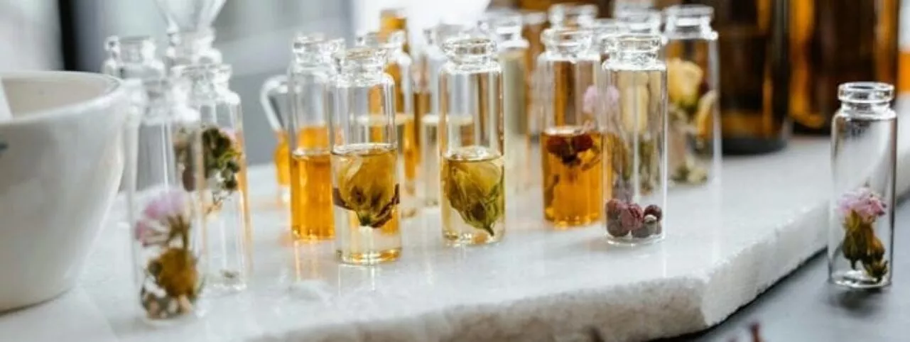 How Essential Oils Are Extracted: The Science and Its Effect on Purity
