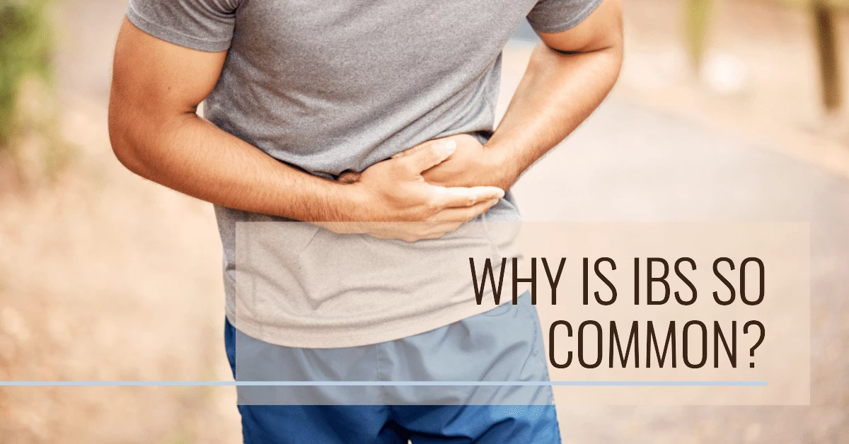 Why Is IBS So Common? - Exploring the Surprising Prevalence and Impact ...