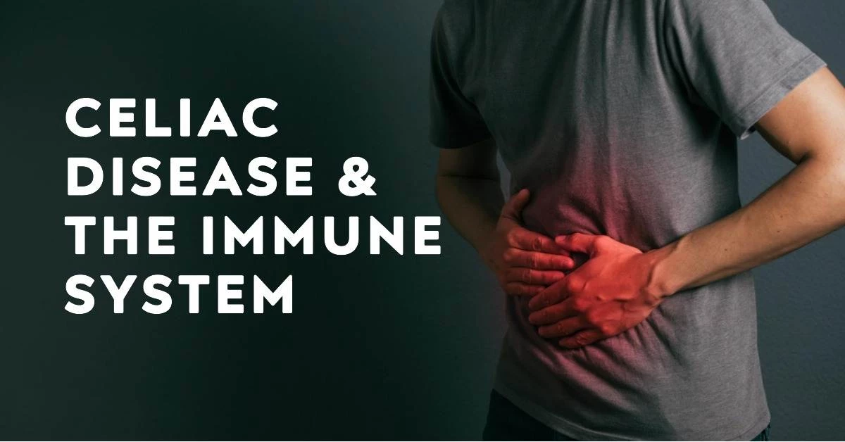 Do Celiacs Have a Weakened Immune System? - A Common Autoimmune ...
