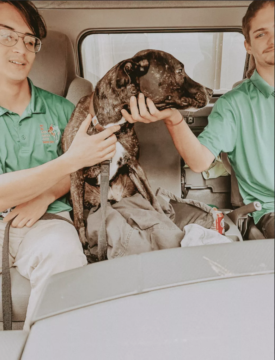 10 Surprising Fun Facts About Junk Removal