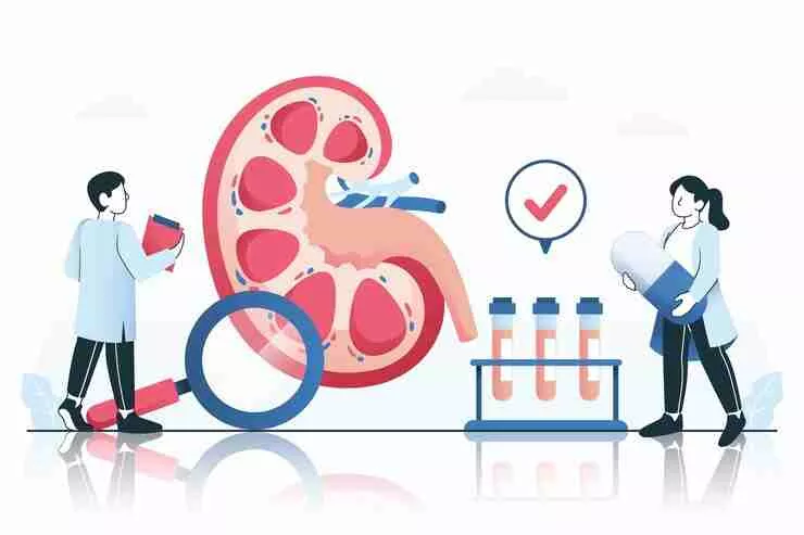 Understanding the Kidney Panel Lab Test: What You Need to Know