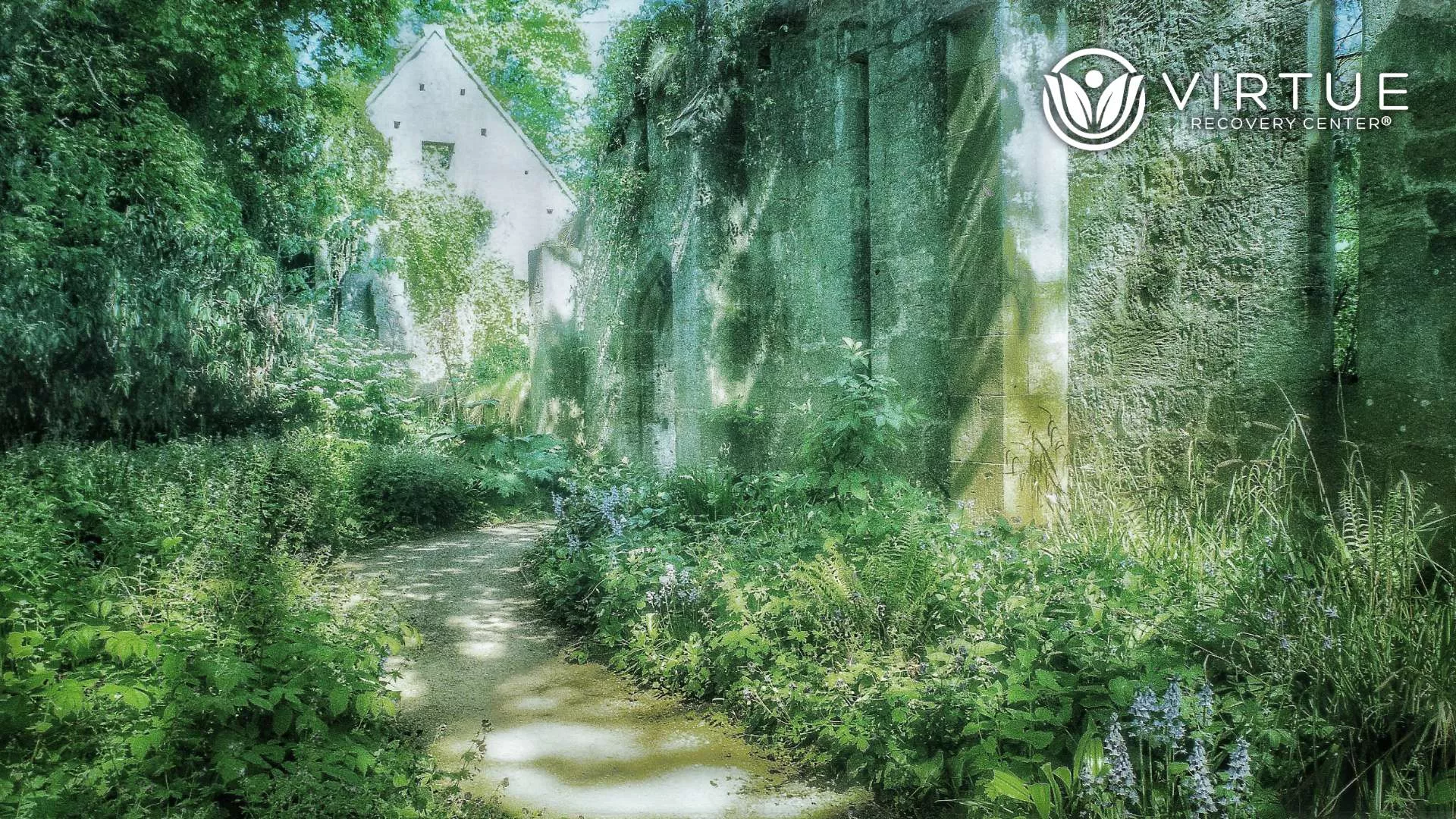 What Are Pink Buffalo Magic Mushrooms? | Psilocybe Cubensis