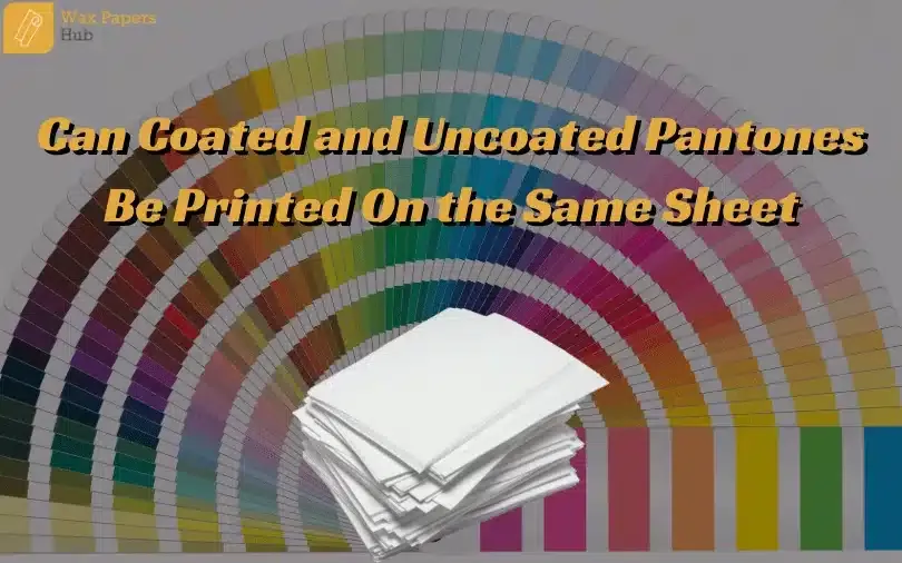 Pantone Coated vs Uncoated: Printing on Paper