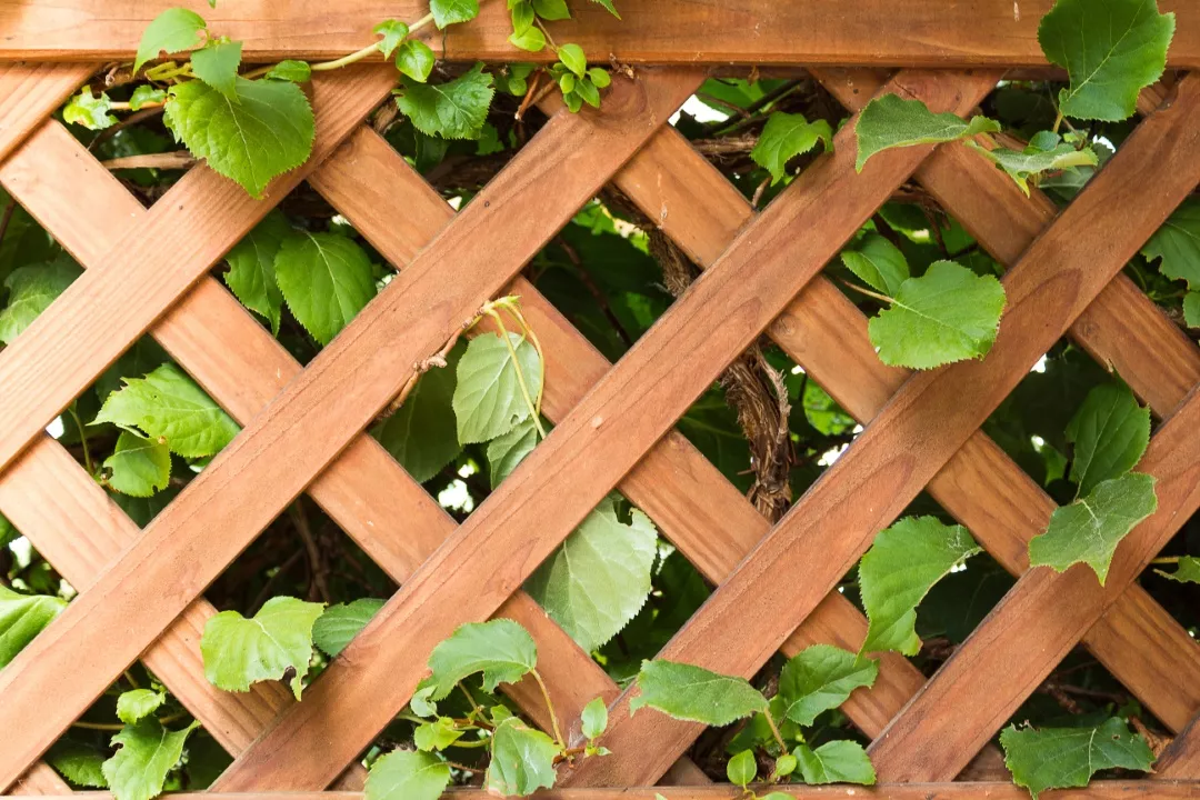 Comment choisir une clôture en harmonie avec la nature