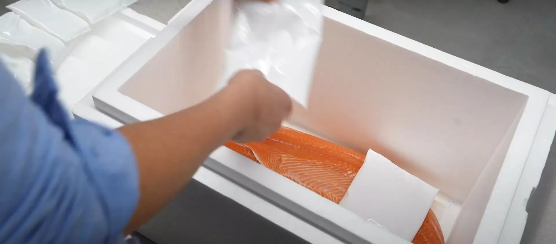 Tempex dozen | Coolpack