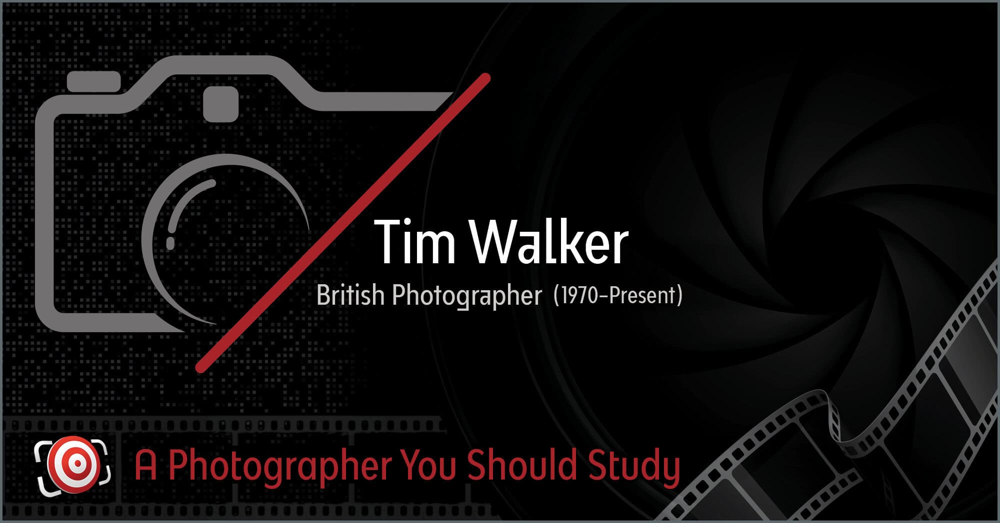 Tim Walker: Redefining Fashion with Whimsical Artistry