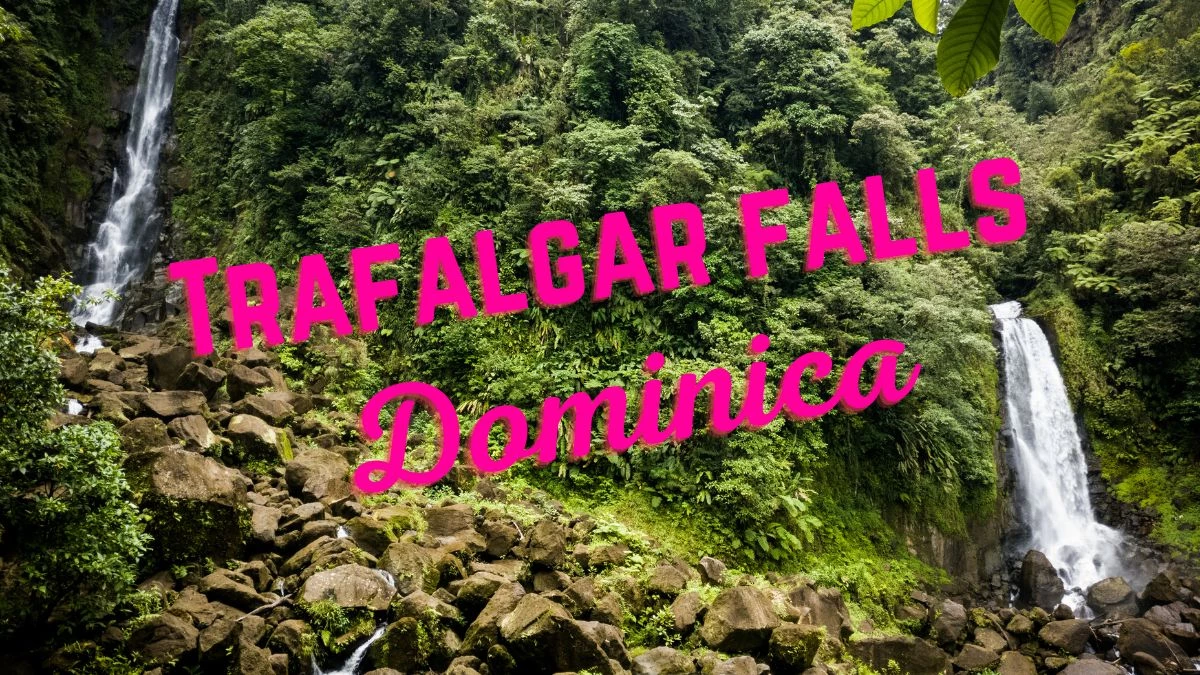 Trafalgar Falls, Dominica Waterfall Tourism Attraction | Karib Digest