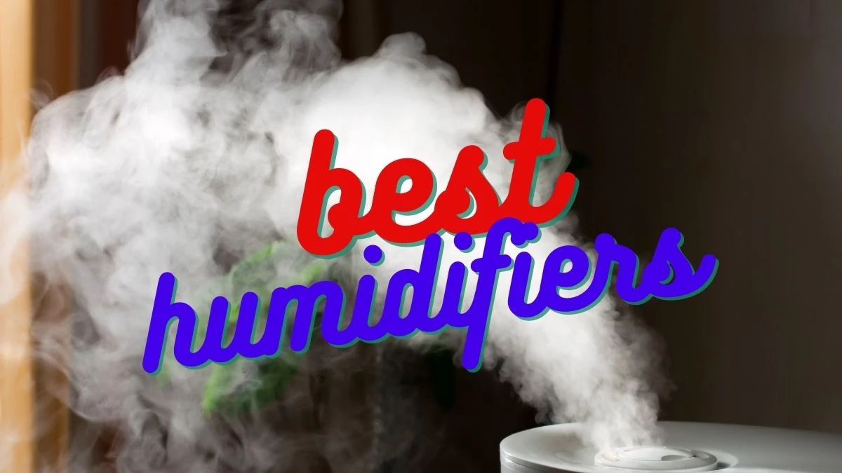 The Best Humidifiers to Regulate Humidity at Home - Loop Digest