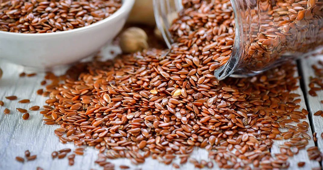 Les graines de lin, recommandées pour protéger le sein du cancer ...