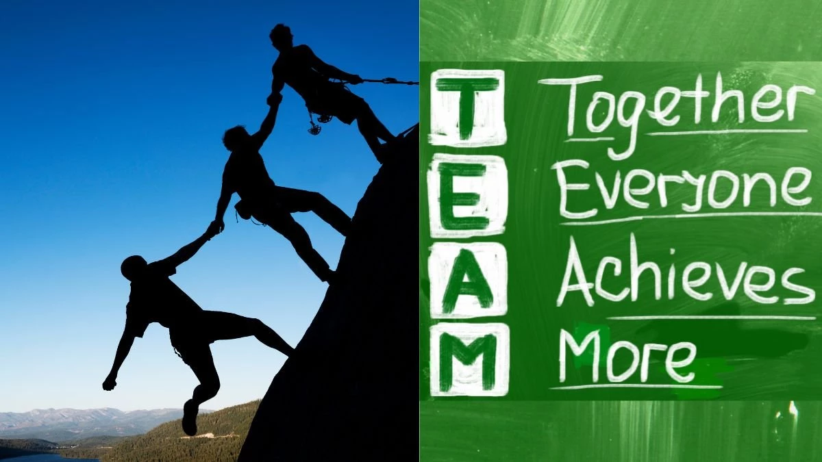 Why are Teamwork Skills Important to an Employer? | SMB Equipped