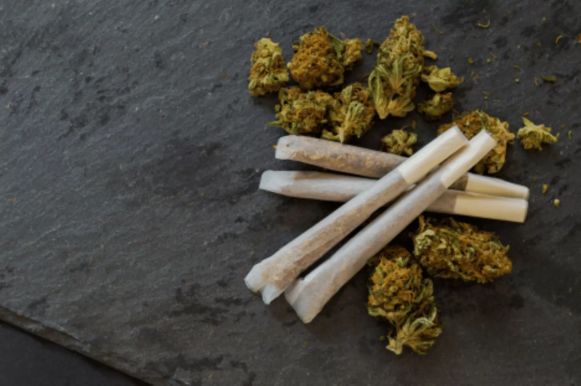 Spliff vs. Joint: What Is The Difference? | TeleLeaf