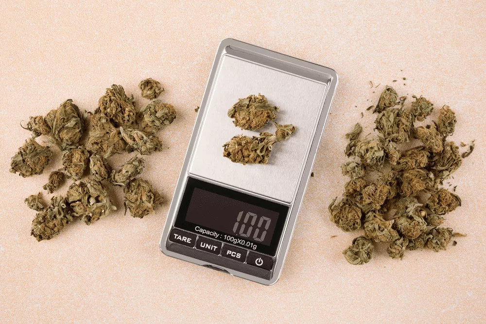 What Is a Zip of Weed and How Much Does It Cost? | TeleLeaf