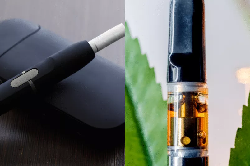 What's the Difference Between Vape and Dab Pens? | TeleLeaf