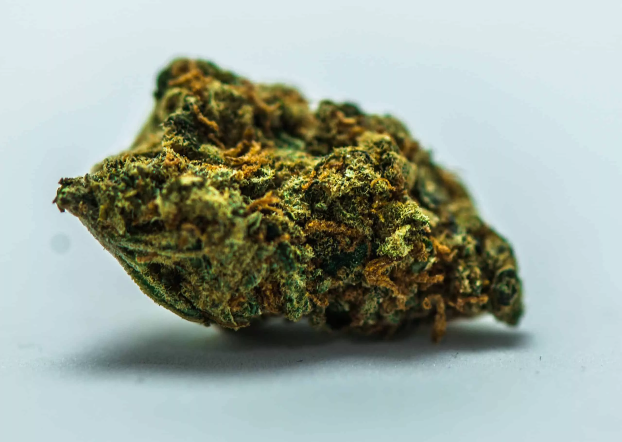 Does Delta-8 Show Up in Standard Drug Tests? | TeleLeaf