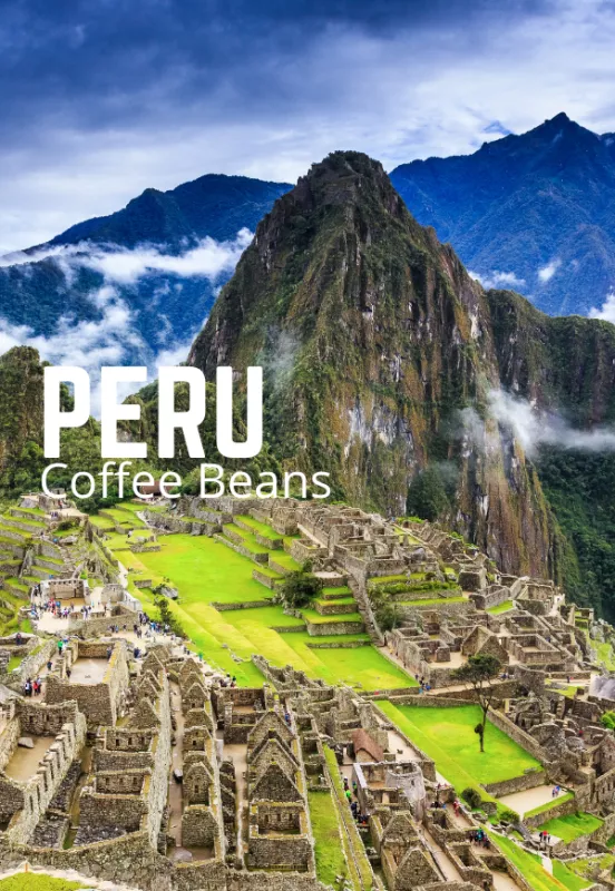 Peru Coffee Beans | Smooth, Balanced & Organic Roasts