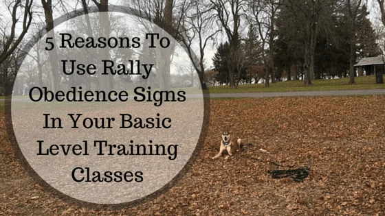 Top 5 Reasons to Use Rally Obedience Signs In Your Classes