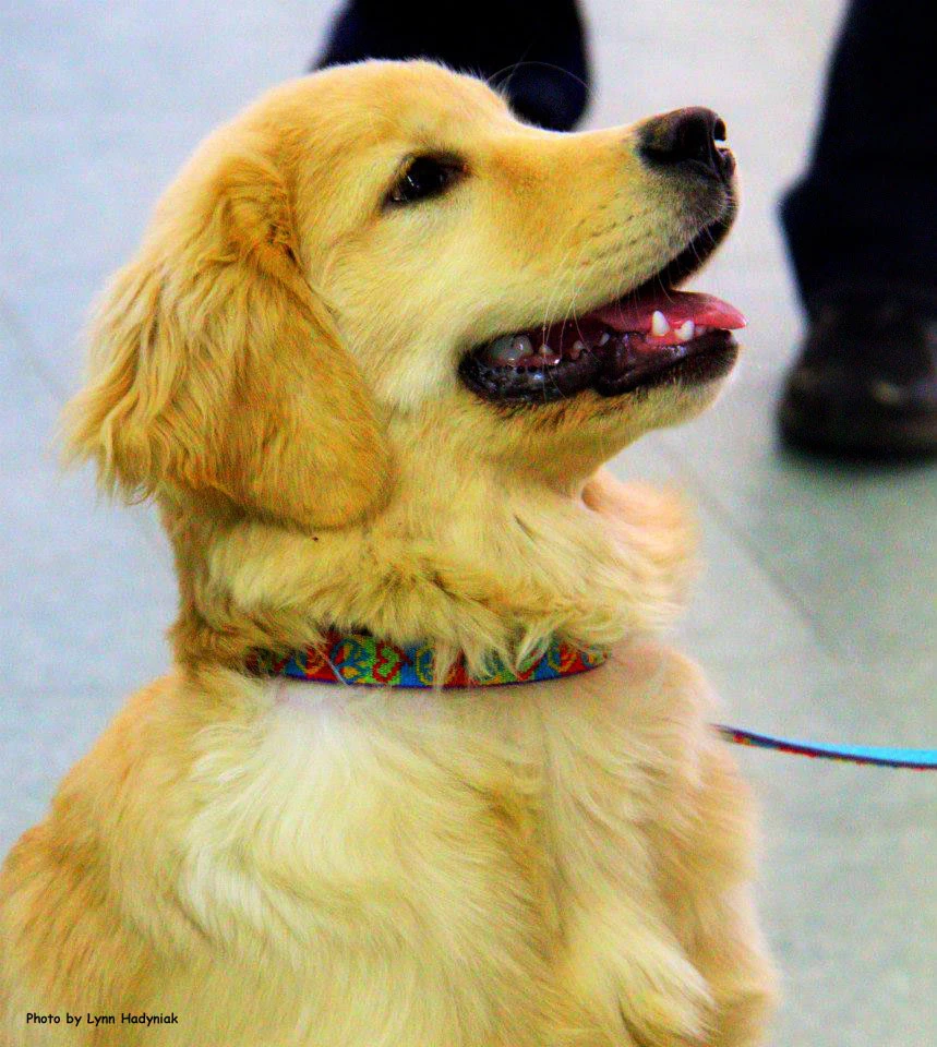 10 Essential Behaviors to Teach in Class