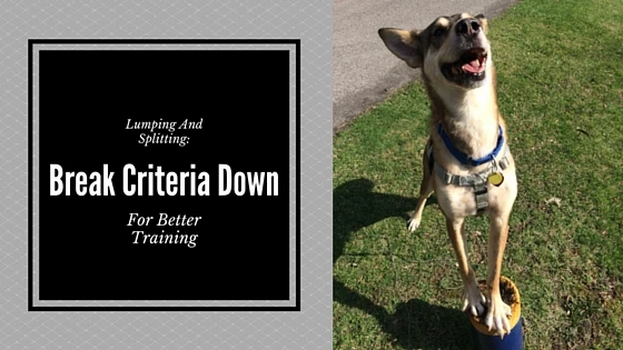 Lumping and Splitting in Dog Training