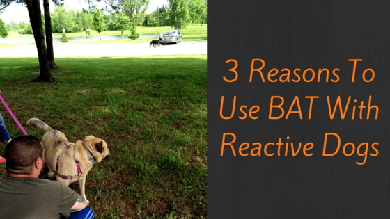 BAT Part 2 - Why Is It So Good For Reactive Dogs?