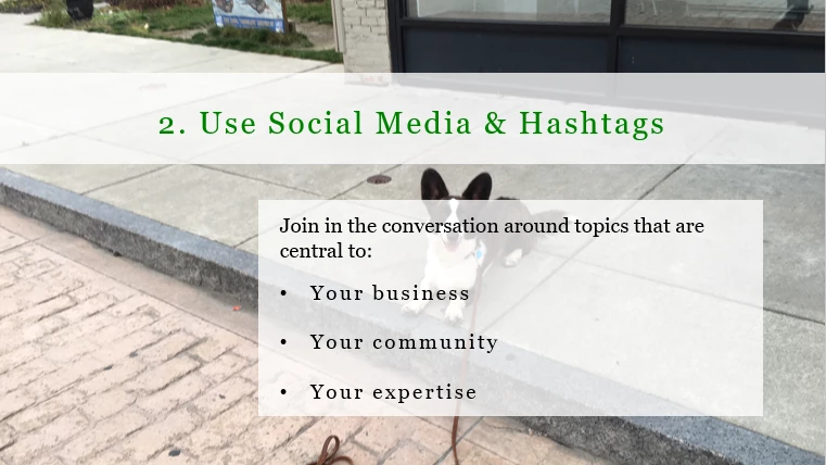 8+ Free Ways to Market Your Dog Training Business & Get New Clients