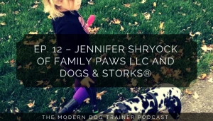 Ep. 12 – Jennifer Shryock of Family Paws™ LLC and Dogs & Storks® - The ...