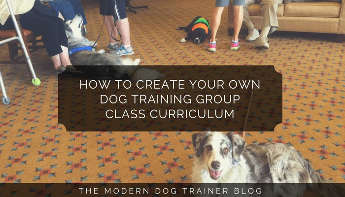 How to Create Your Own Dog Training Group Class Curriculum - The Modern ...