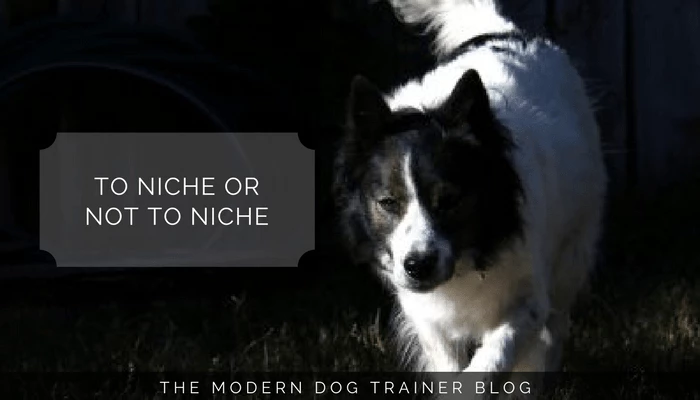 How To Find Your Niche As A Dog Trainer