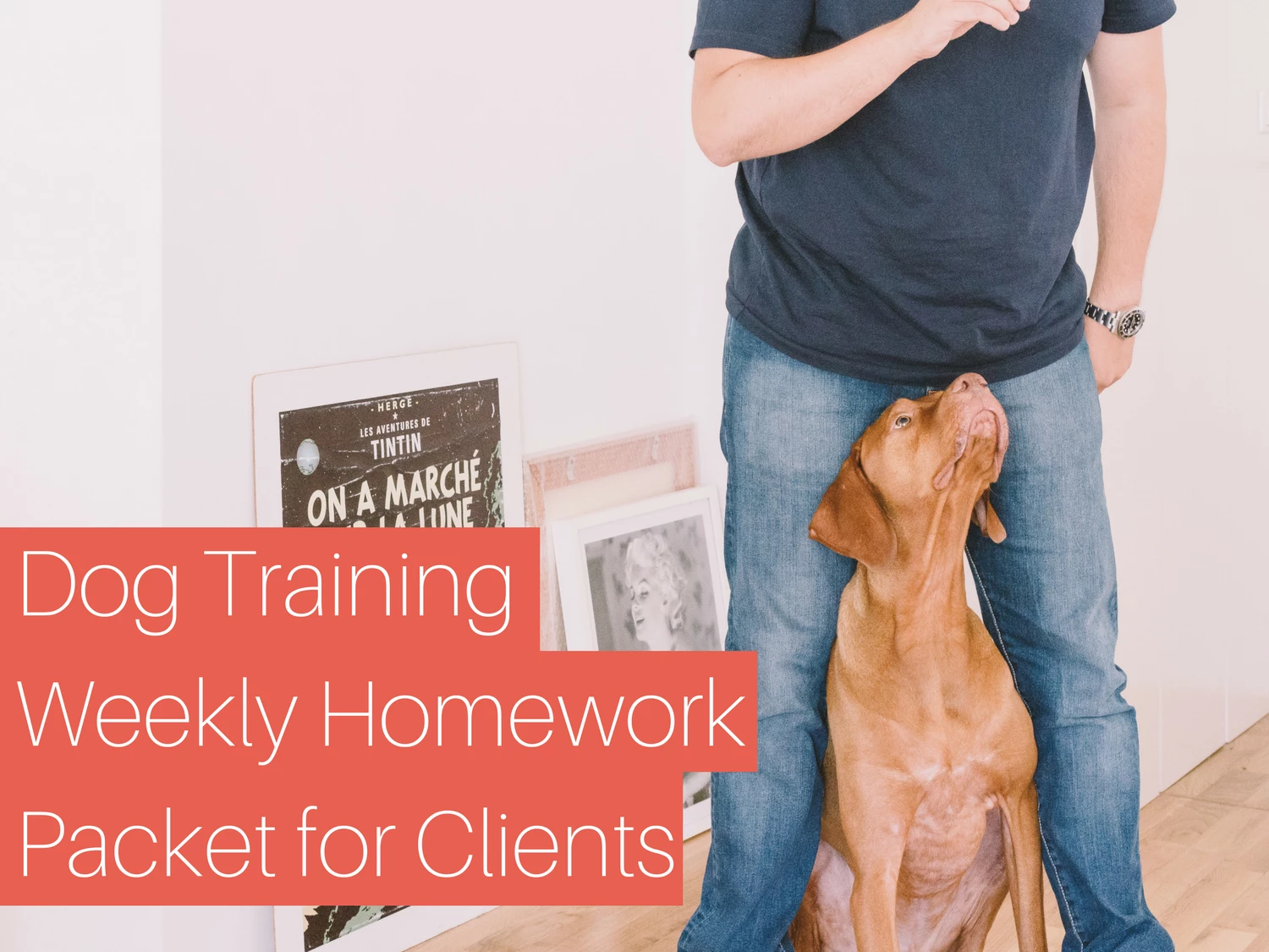 Dog Training Weekly Homework Packet for Clients (6 Pages)